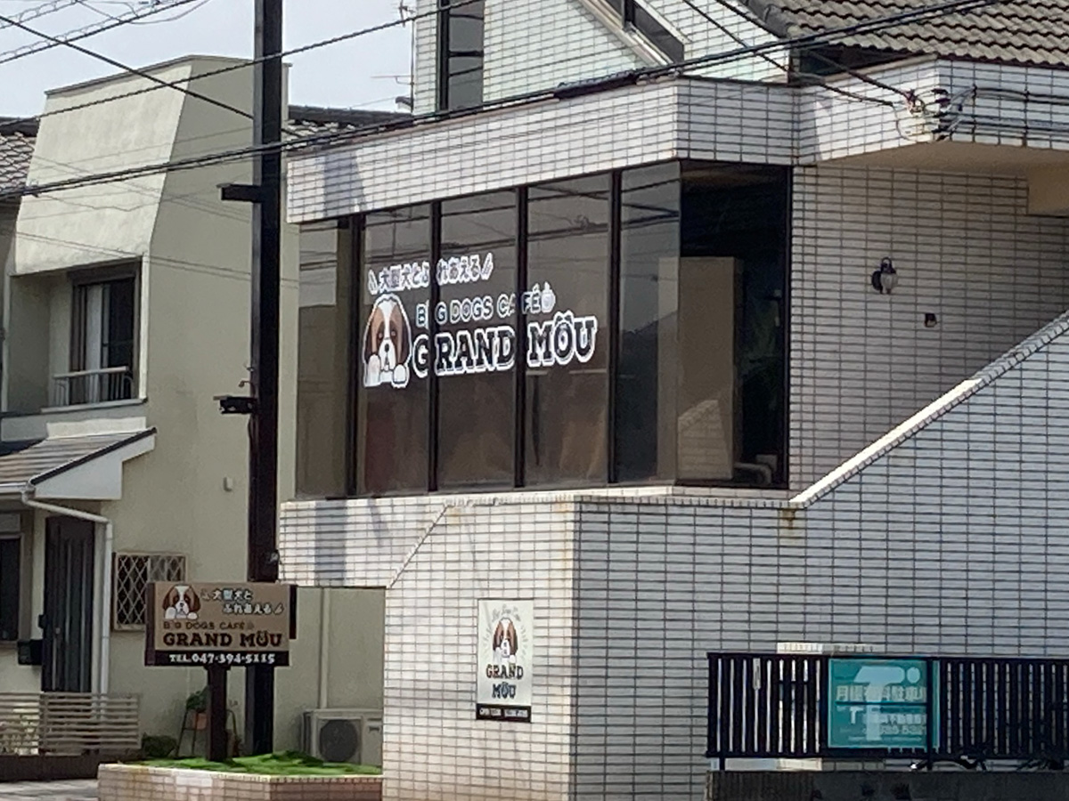 大型犬と触れ合えるカフェ「BIG DOGS CAFE GRAND MOU（グランムー）」が松飛台に4月からオープン、前払い予約制 - 松戸つうしん - 千葉県松戸市の地域情報ブログ